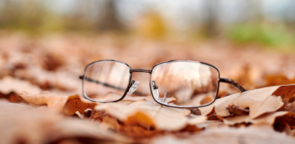 FDA Approves Izervay for Treating Severe Age-related Macular ...